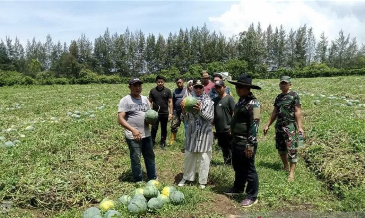 Panduan Pembuatan & Pengelolaan Community Development